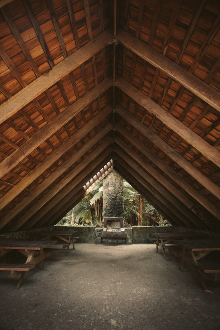 Evercreech Falls, White Knights Walk & Camping at Evercreech Forest ...