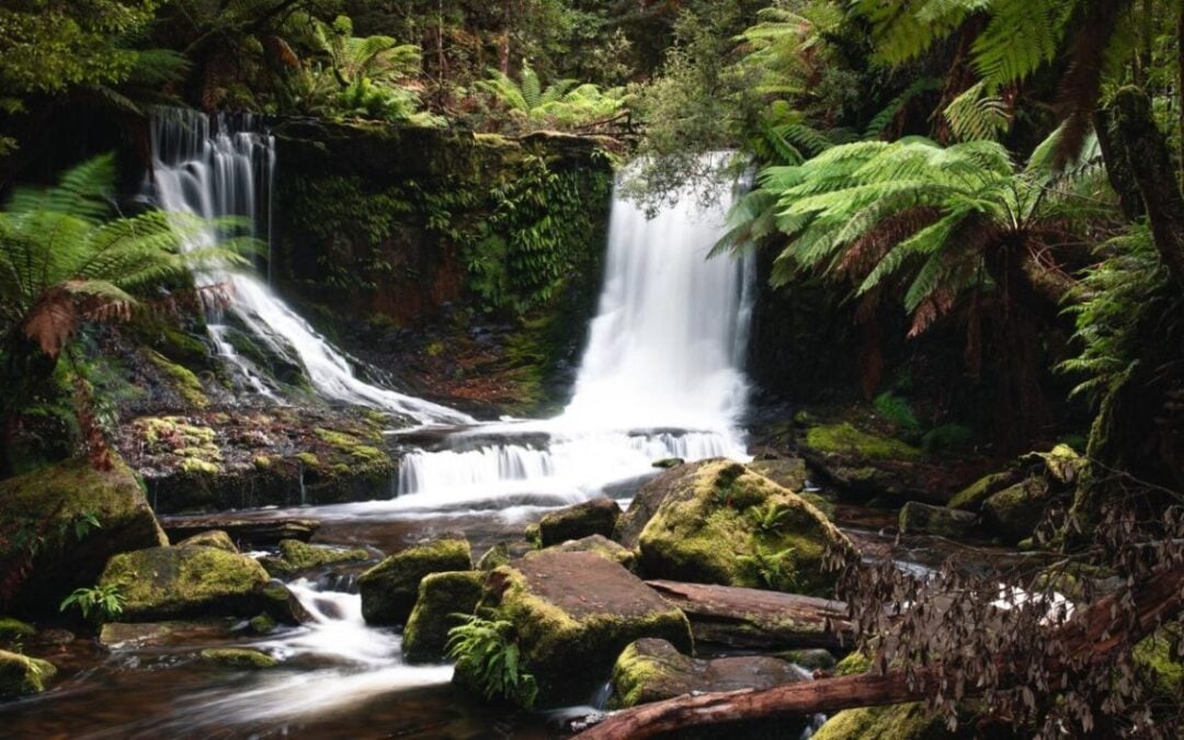 Hiking the Three Falls Circuit & Tall Trees Walk, Tasmania