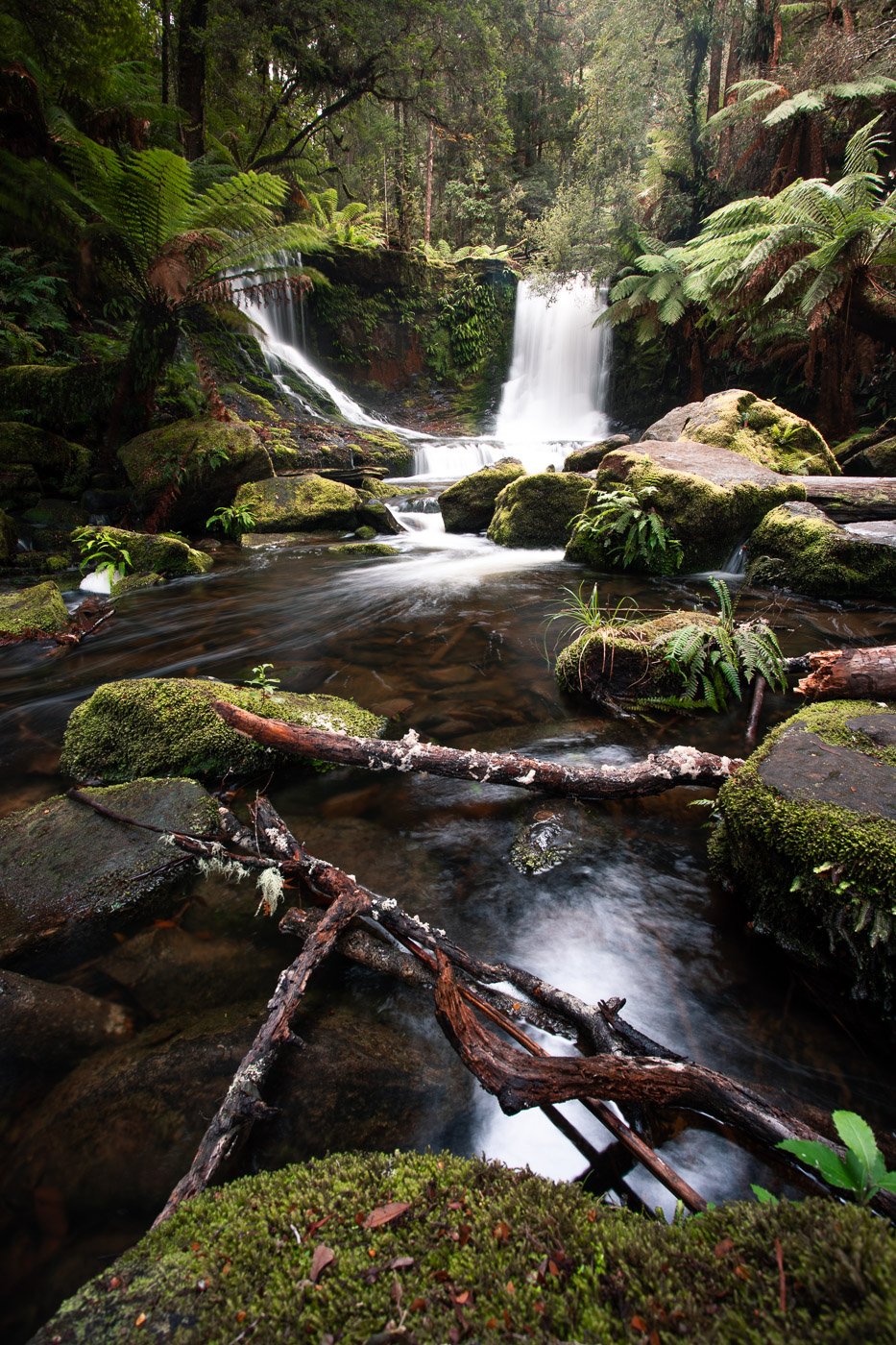 Three Falls Circuit & Tall Trees Walk in Mount Field National Park ...