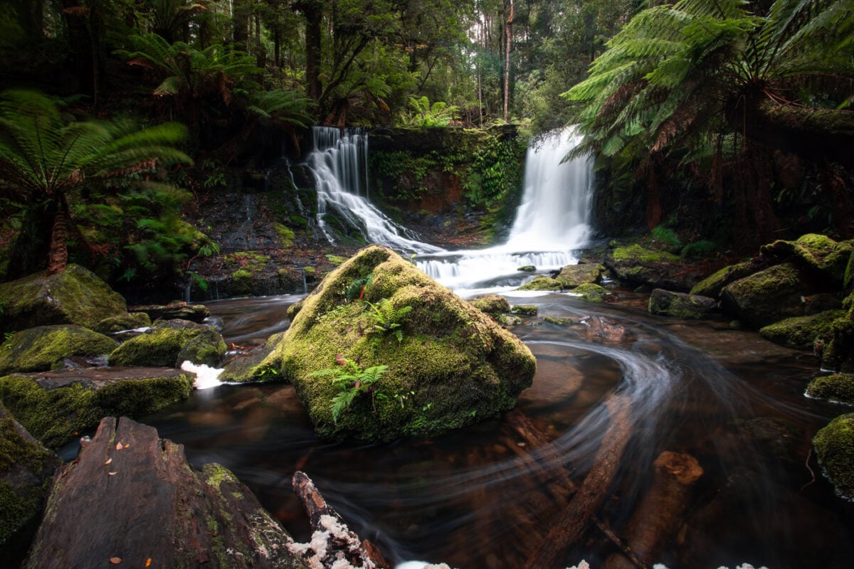 Hiking the Three Falls Circuit & Tall Trees Walk, Tasmania