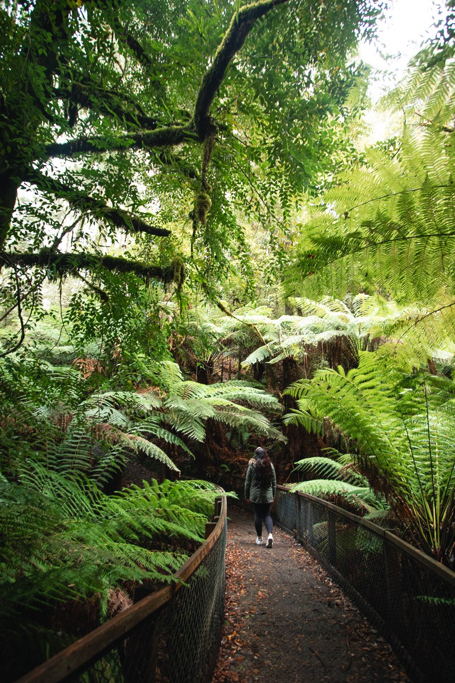 How to visit Lady Barron Falls, Tasmania