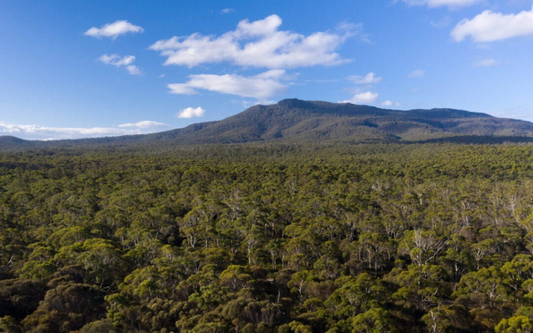 How to Hike the Maria Island Walk on an Independent Circuit