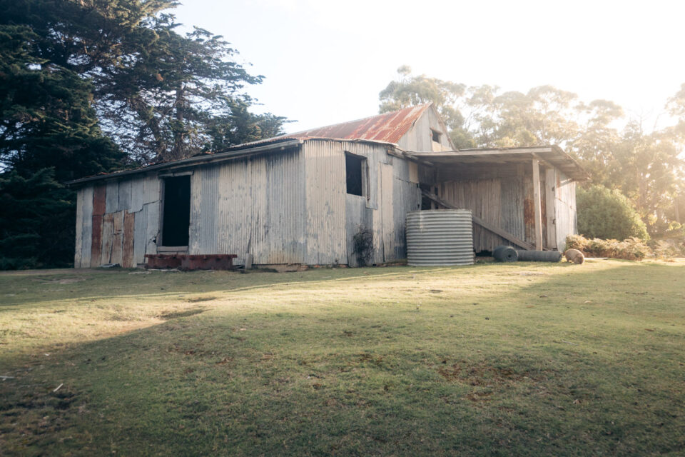 How to Hike the Maria Island Walk on an Independent Circuit