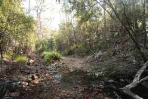 The Maria Island Walk: Self-Guided Hike on the Complete Island Circuit ...