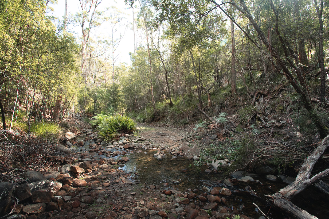 The Maria Island Walk: Self-Guided Hike on the Complete Island Circuit ...