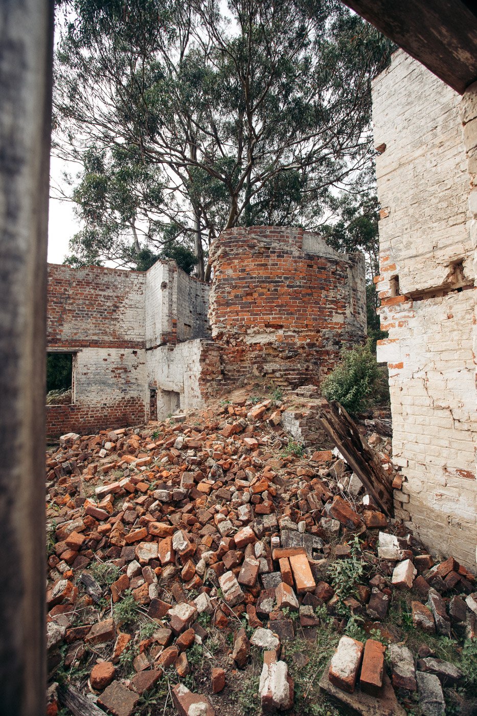 The Maria Island Walk: Self-Guided Hike on the Complete Island Circuit ...
