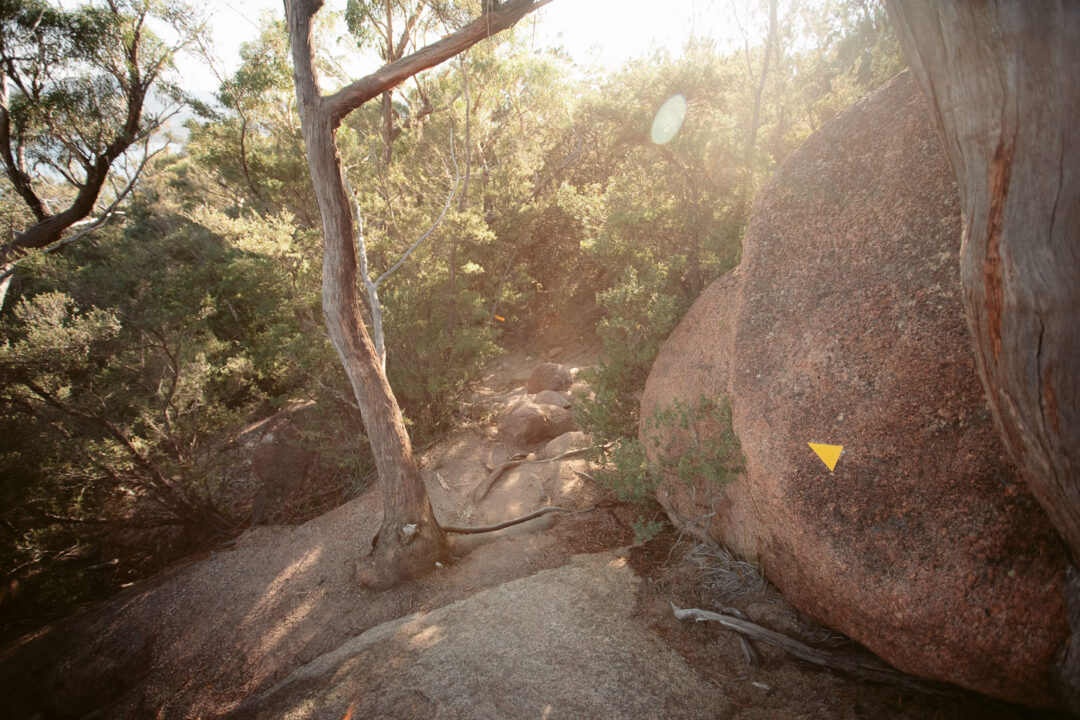 How to Hike Mount Amos in Tasmania: Freycinet National Park