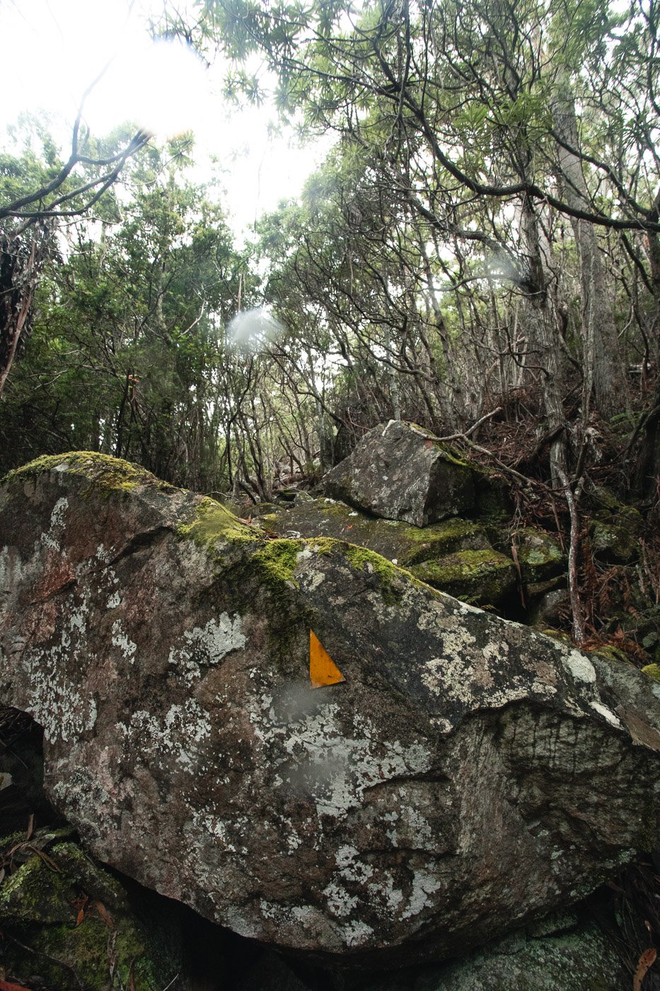 The Maria Island Walk: Self-Guided Hike on the Complete Island Circuit ...