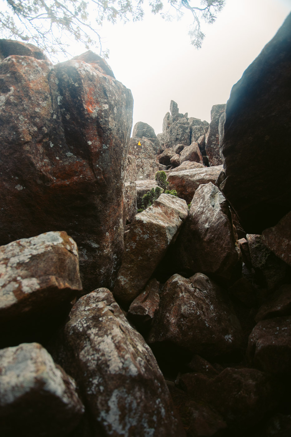 The Maria Island Walk: Self-Guided Hike on the Complete Island Circuit ...
