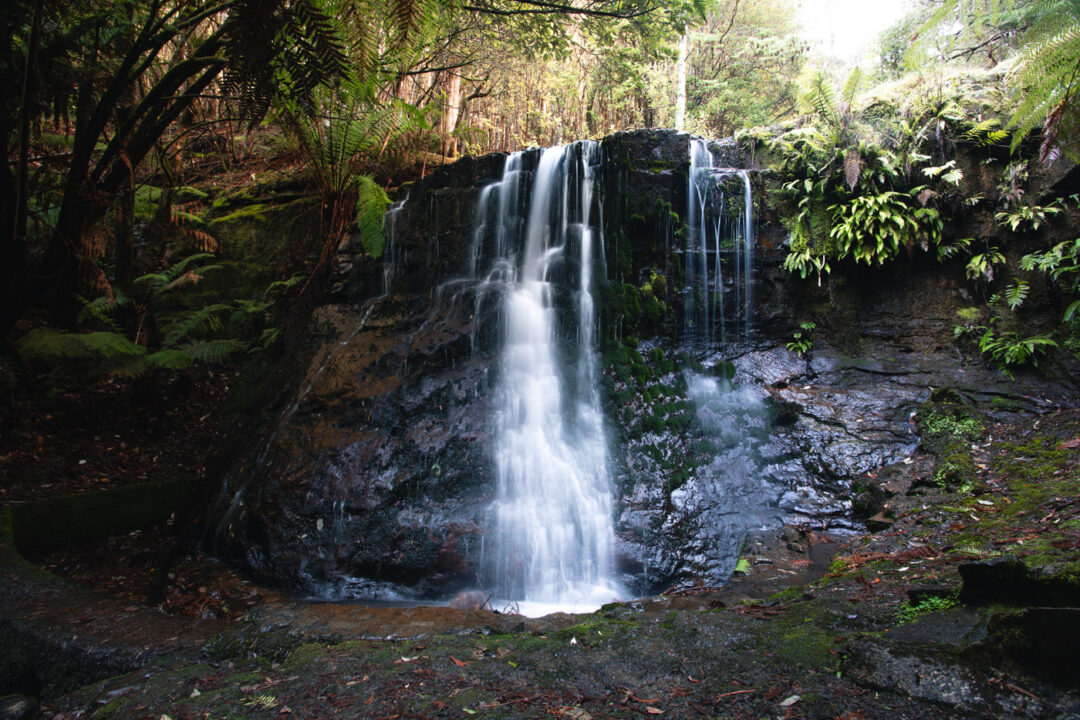 Hiking to Wellington Falls and the Disappearing Tarn, Hobart