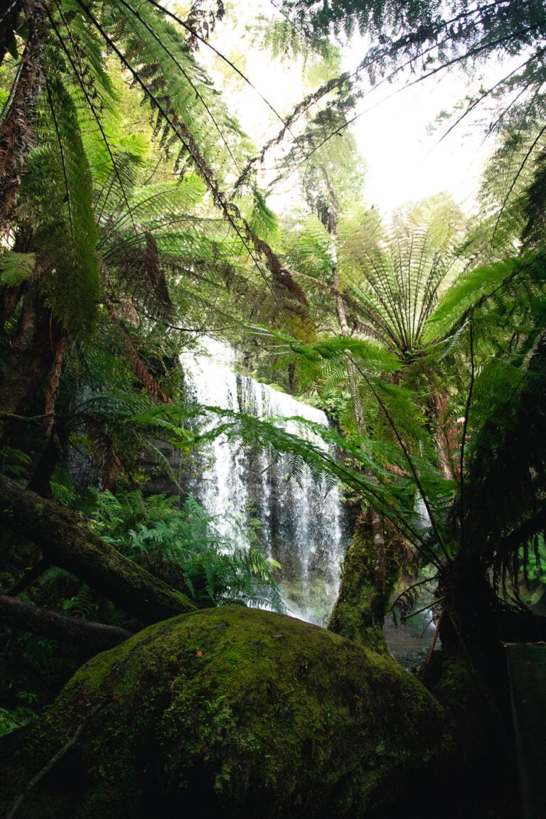How to visit Russell Falls Tasmania: The Iconic Waterfall