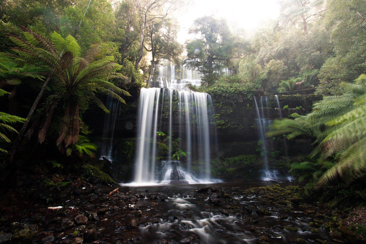 Three Falls Circuit & Tall Trees Walk in Mount Field National Park ...