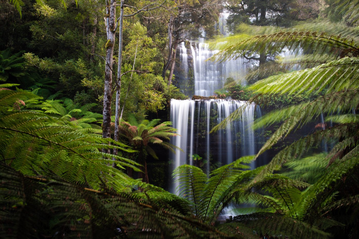 How to visit Russell Falls Tasmania: The Iconic Waterfall