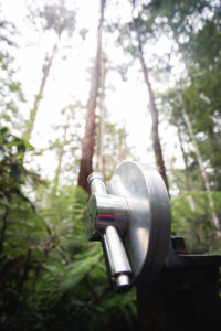 Hiking the Three Falls Circuit & Tall Trees Walk, Tasmania