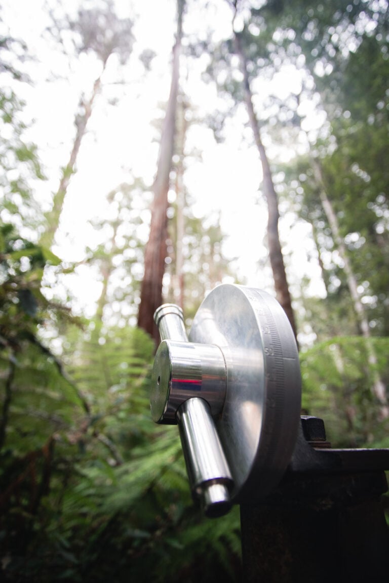 Hiking the Three Falls Circuit & Tall Trees Walk, Tasmania
