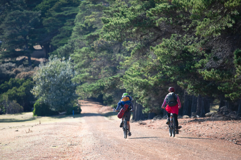 16 Fun Things to Do on Maria Island Tasmania + Travel Guide