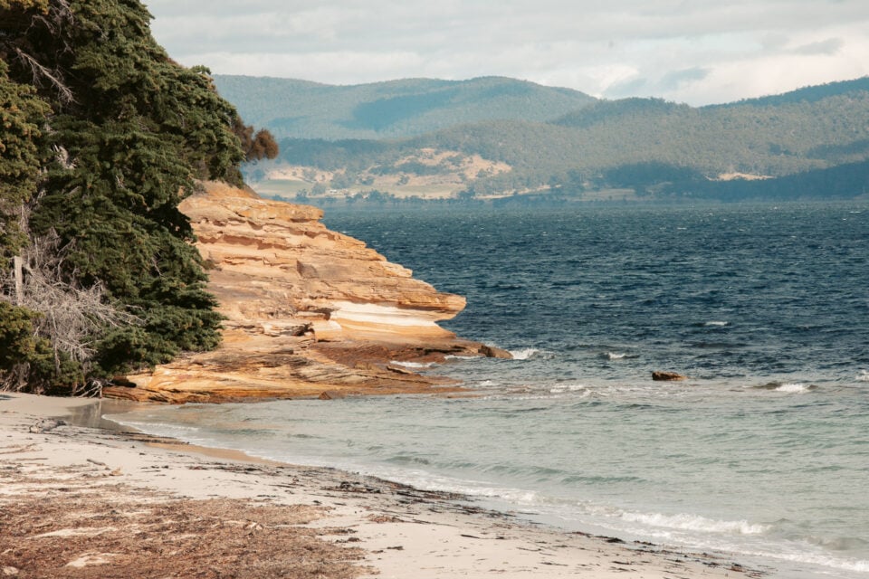 16 Fun Things to Do on Maria Island Tasmania + Travel Guide