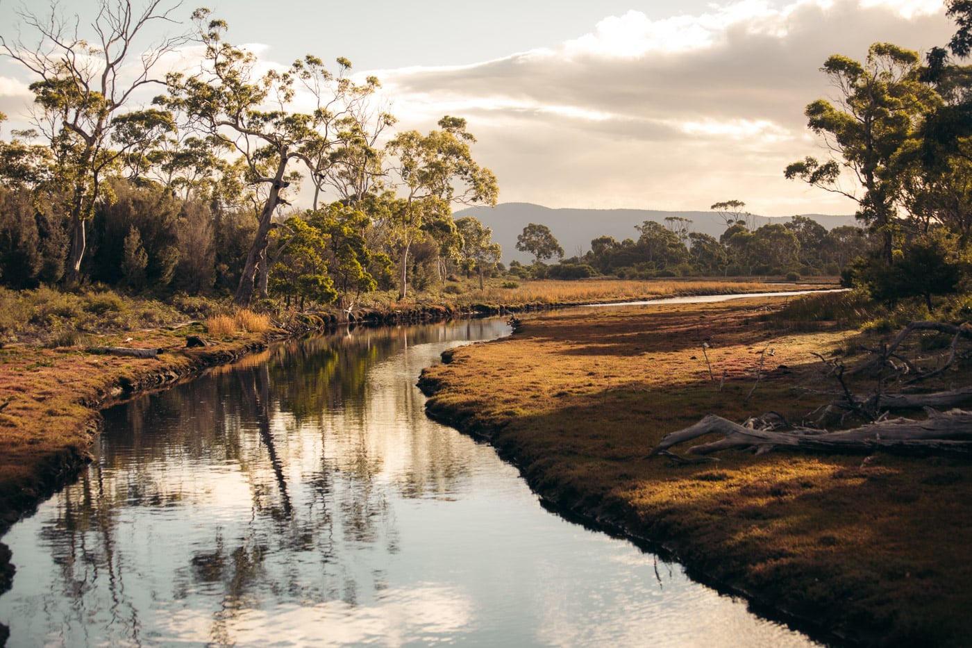 Maria Island Tasmania: 15 Incredible Things to Do – We Seek Travel Blog