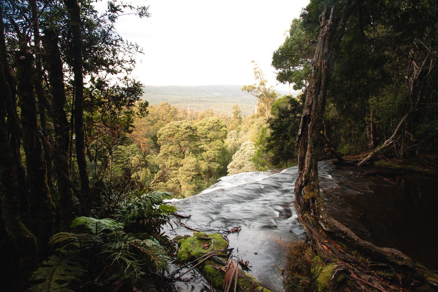 Three Falls Circuit & Tall Trees Walk in Mount Field National Park ...