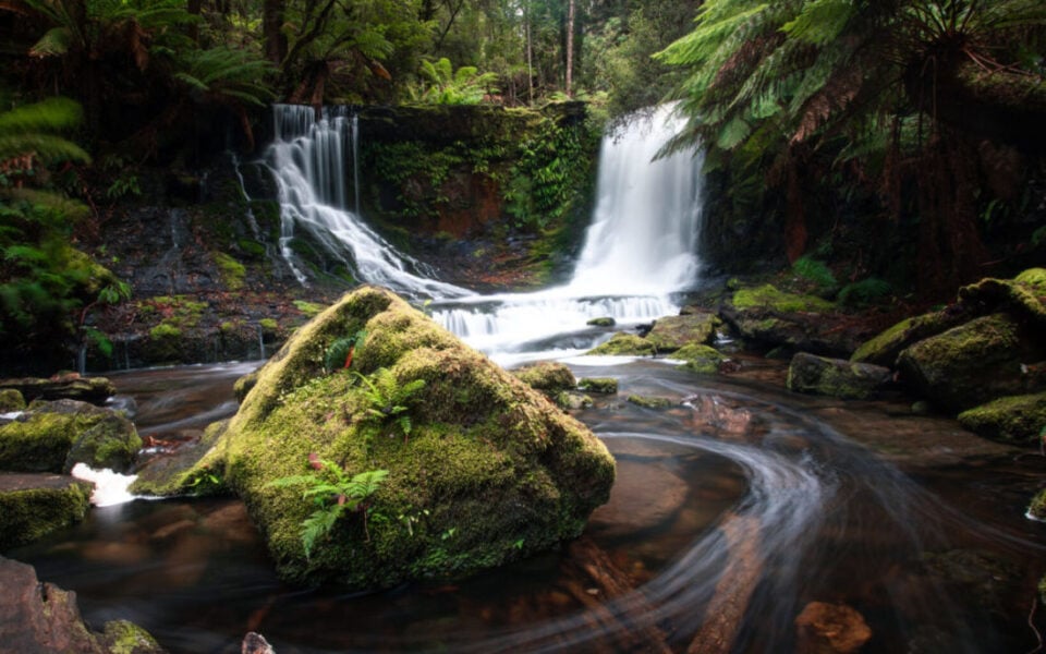 Hiking the Three Falls Circuit & Tall Trees Walk, Tasmania