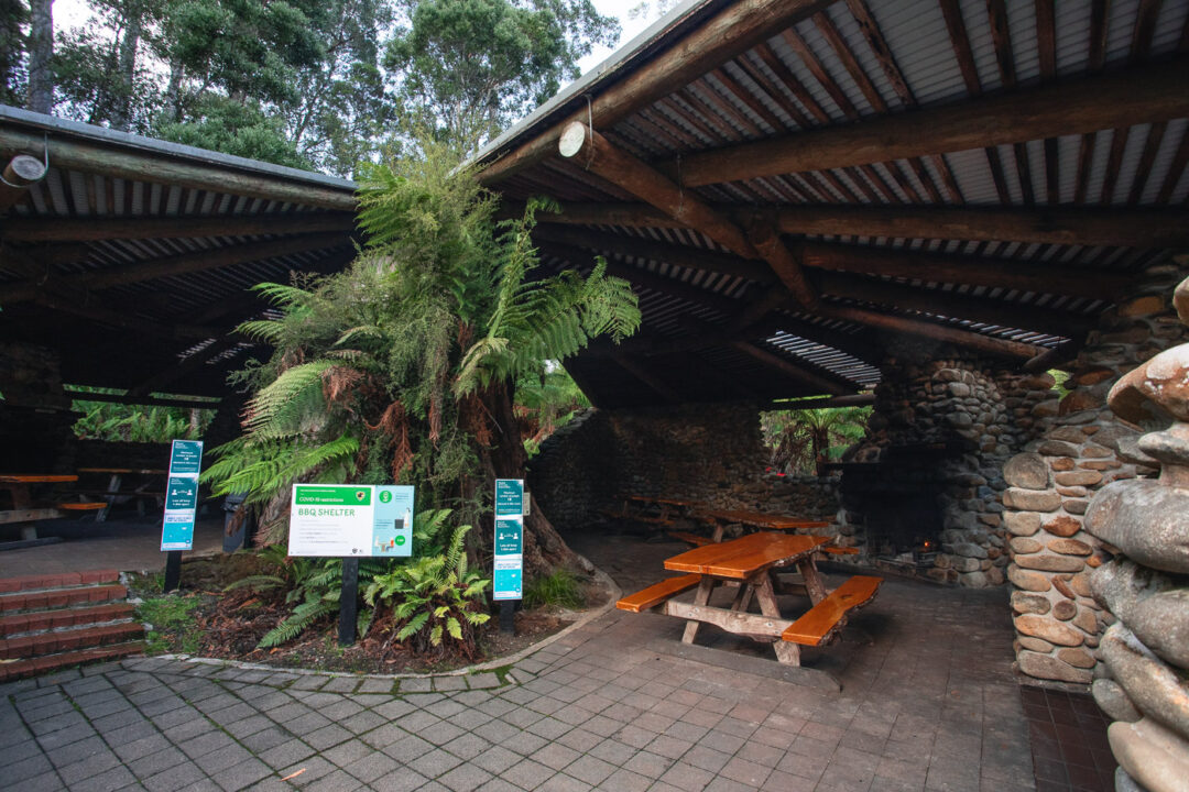 Hastings Caves and Thermal Springs: Cave Tour in Tasmania