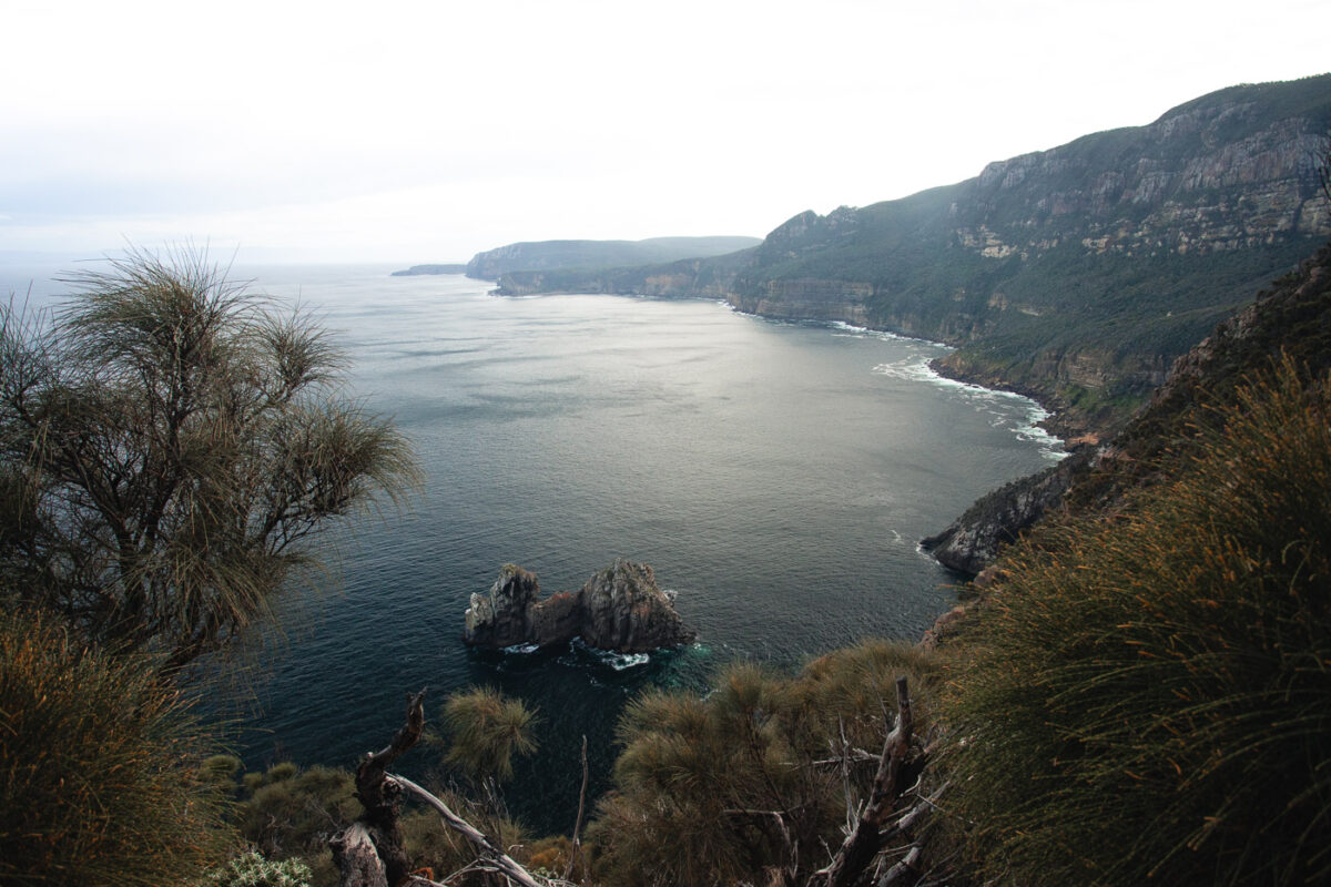 How to Hike Cape Raoul & Shipstern Bluff Track, Tasmania