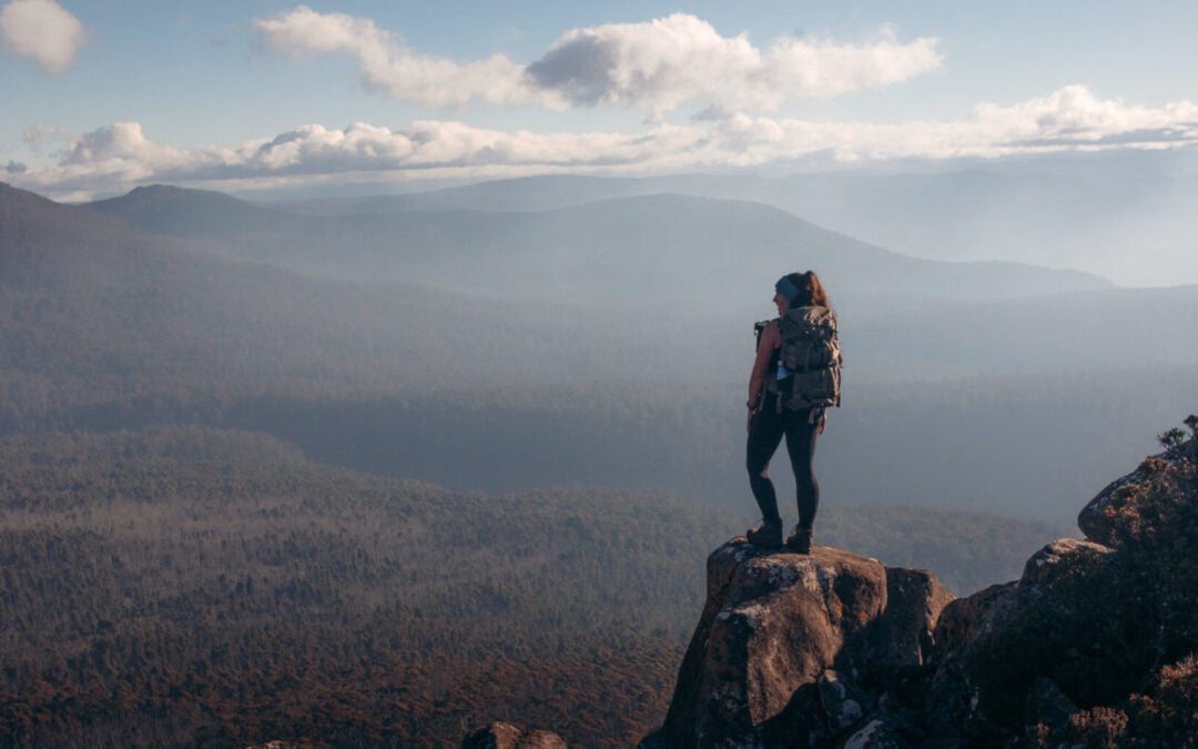 Hiking Guide to the Collins Cap Walk & Myrtle Forest Falls