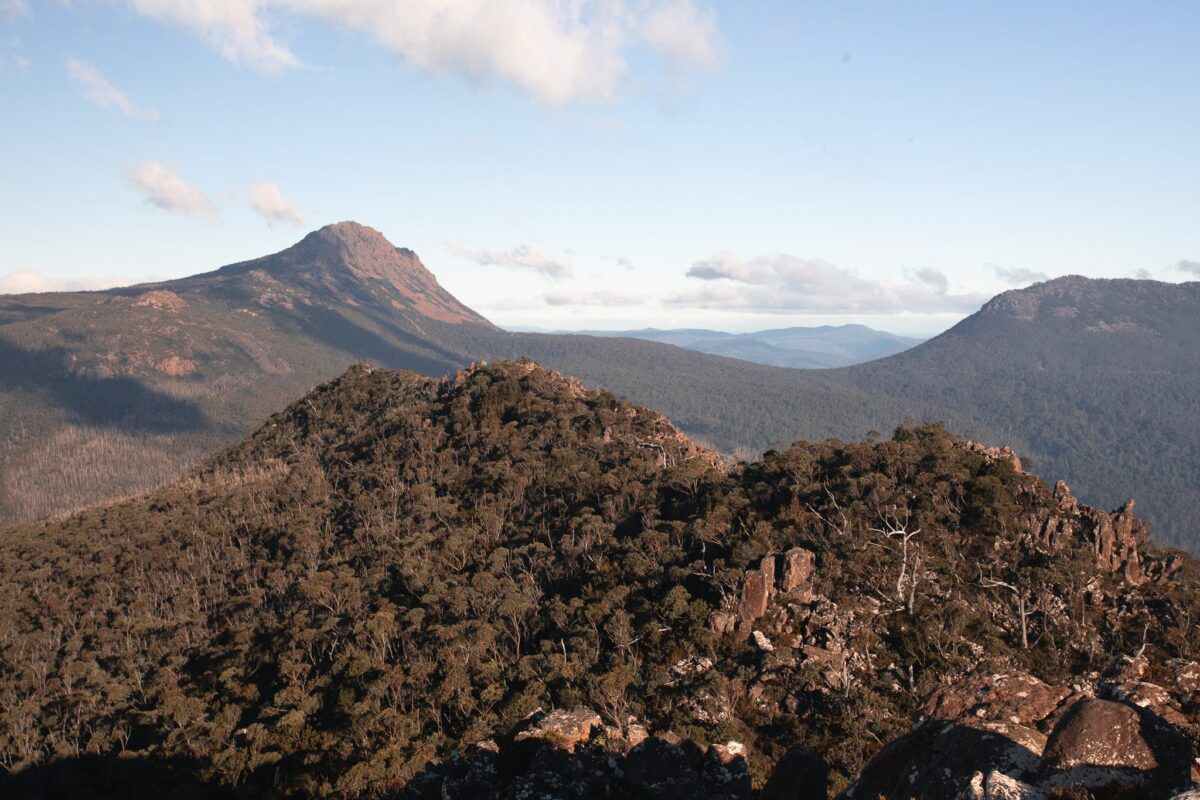 Hiking Guide to the Collins Cap Walk & Myrtle Forest Falls