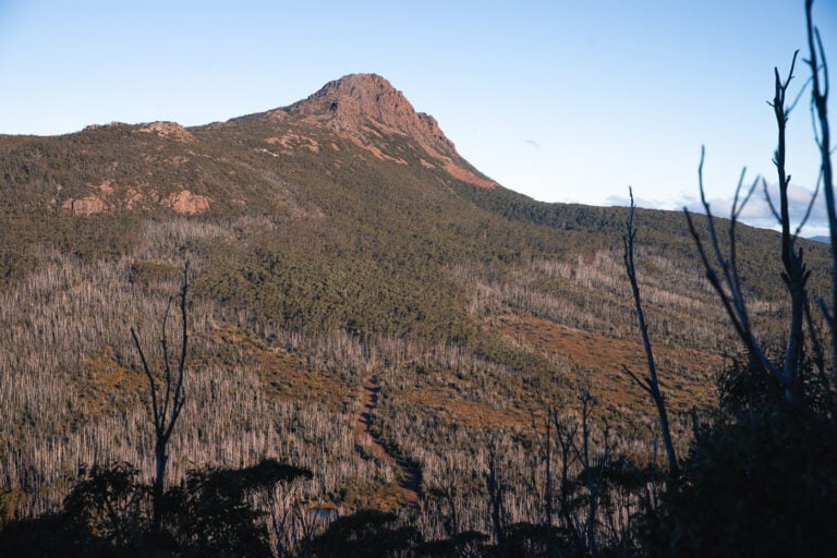 Hiking Guide to the Collins Cap Walk & Myrtle Forest Falls