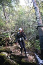 Hiking Guide to the Collins Cap Walk & Myrtle Forest Falls