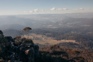 Hiking Guide to the Collins Cap Walk & Myrtle Forest Falls – We Seek Travel