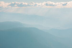 Hiking Guide to the Collins Cap Walk & Myrtle Forest Falls – We Seek Travel