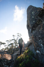 Hiking Guide to the Collins Cap Walk & Myrtle Forest Falls