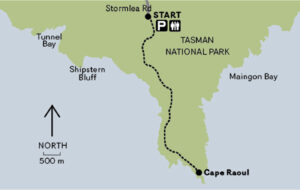 How to Hike Cape Raoul & Shipstern Bluff Track, Tasmania