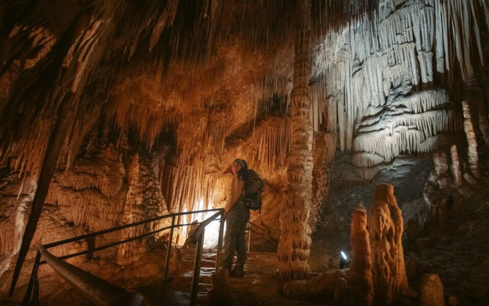 Hastings Caves and Thermal Springs: Cave Tour in Tasmania