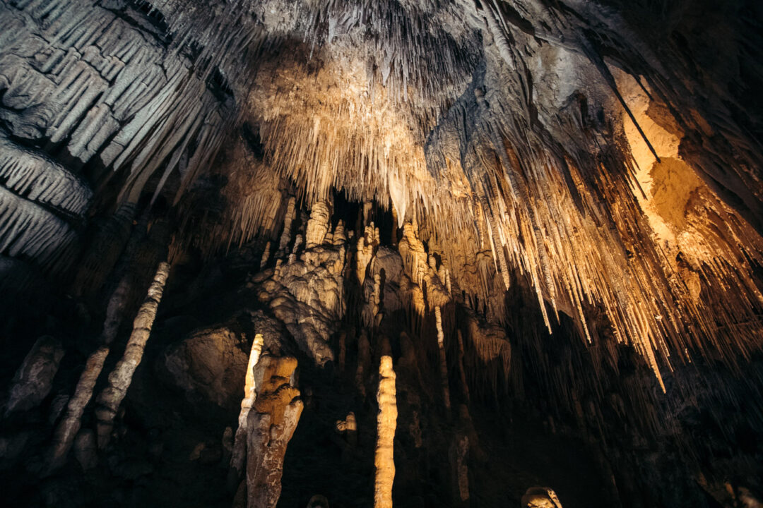 Hastings Caves and Thermal Springs: Cave Tour in Tasmania