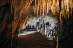 Hastings Caves and Thermal Springs: Cave Tour in Tasmania