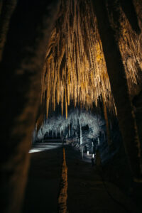 Hastings Caves and Thermal Springs: Cave Tour in Tasmania