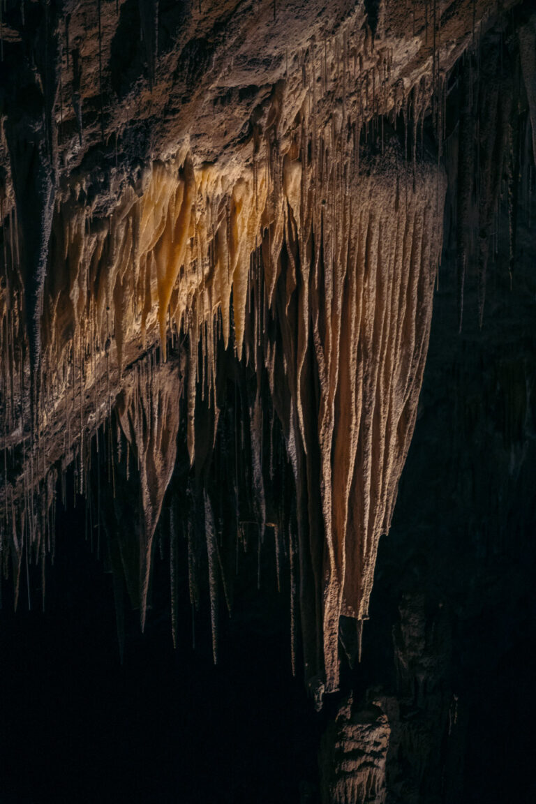 Hastings Caves and Thermal Springs: Cave Tour in Tasmania