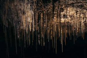 Hastings Caves and Thermal Springs: Cave Tour in Tasmania