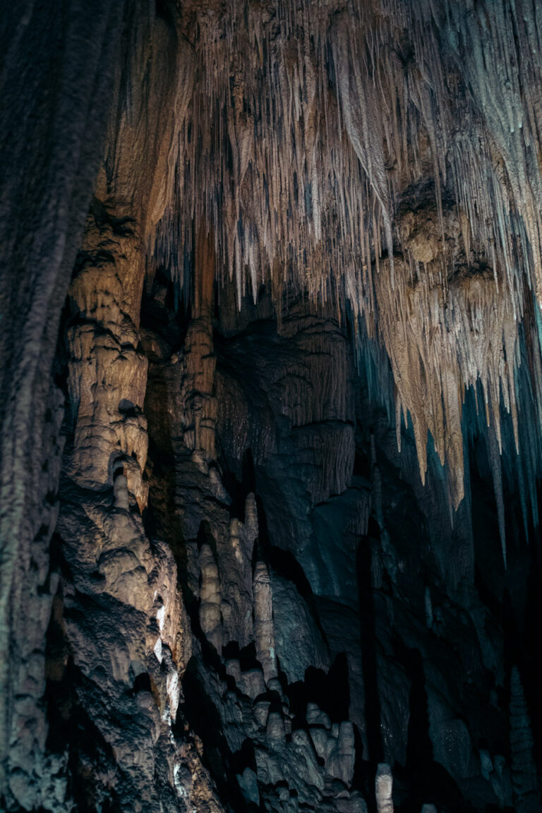 Hastings Caves and Thermal Springs: Cave Tour in Tasmania