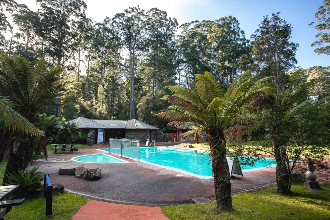 Hastings Caves and Thermal Springs: Cave Tour in Tasmania