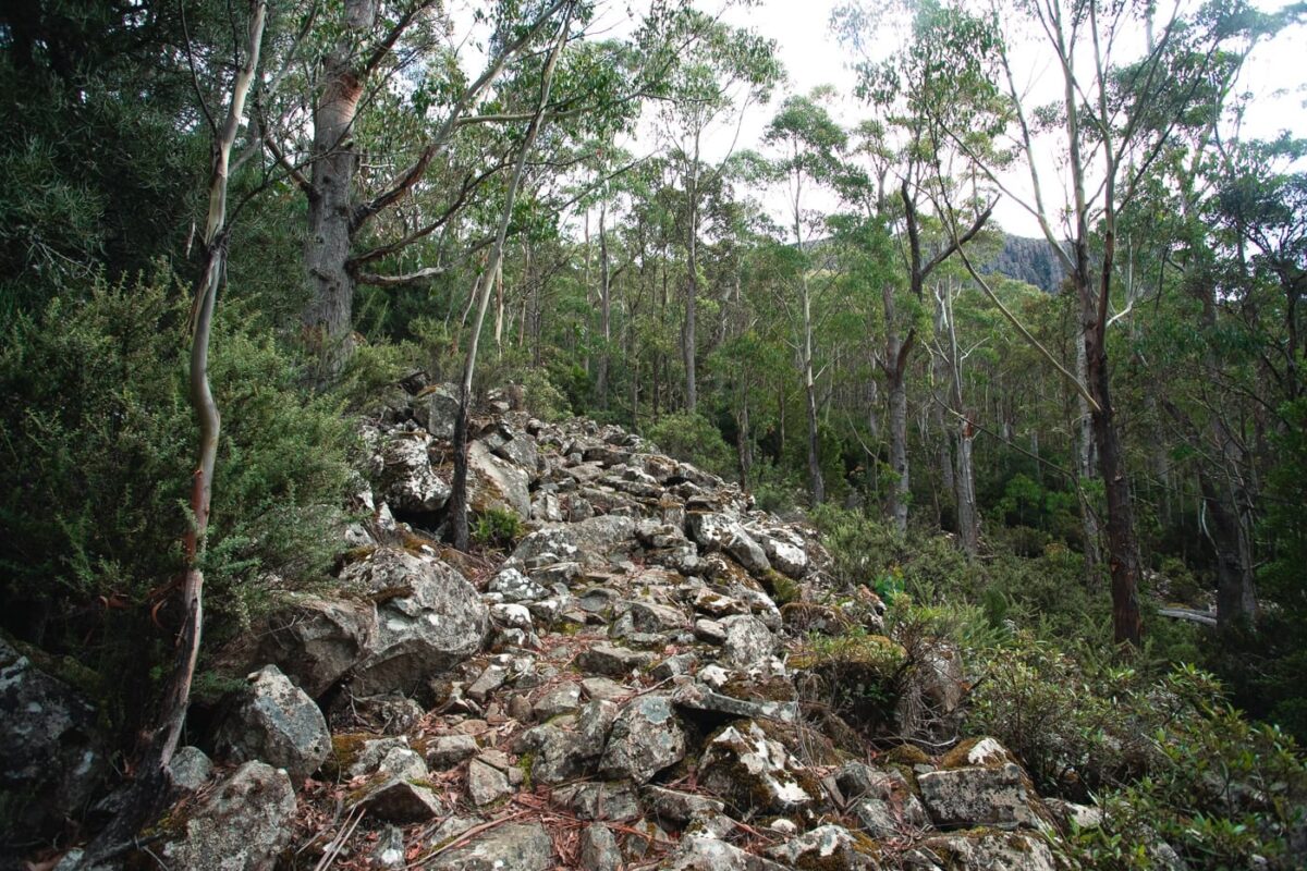 Circuit Walk to Mount Wellington Summit From Hobart
