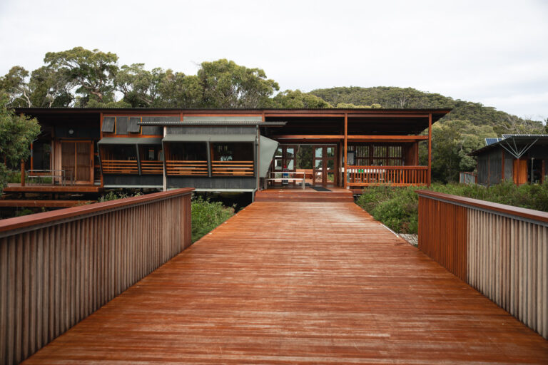 How to Hike Tasmania's Three Capes Track For Free (Camping)