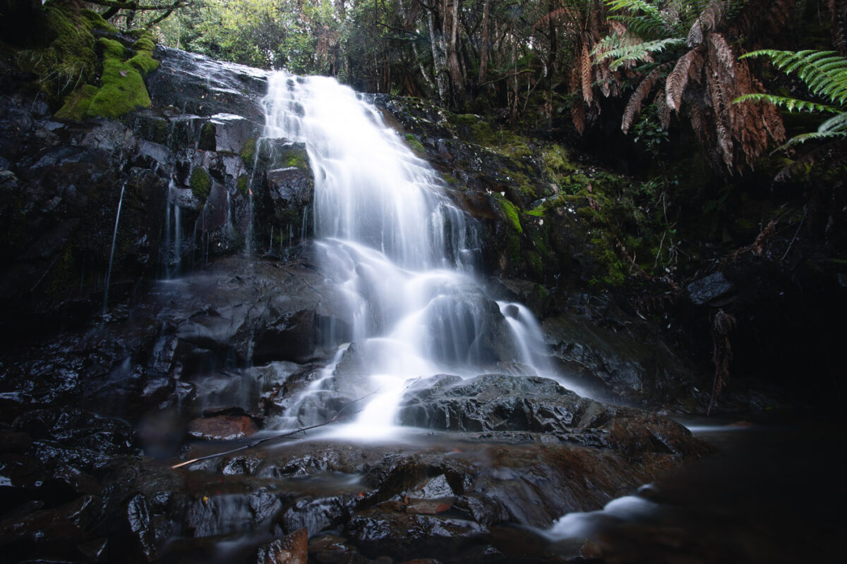 Hiking Guide to the Collins Cap Walk & Myrtle Forest Falls