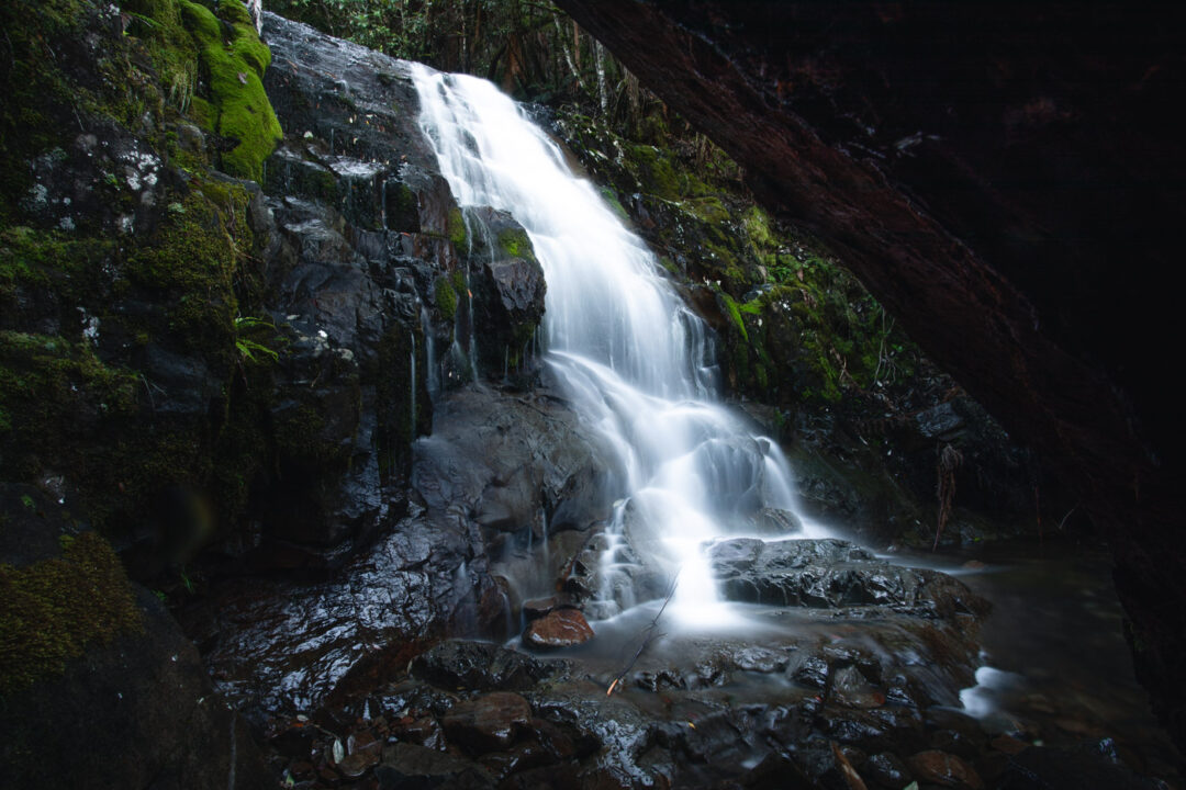 Hiking Guide to the Collins Cap Walk & Myrtle Forest Falls