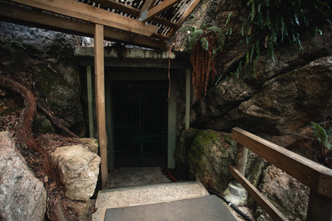 Hastings Caves and Thermal Springs: Cave Tour in Tasmania