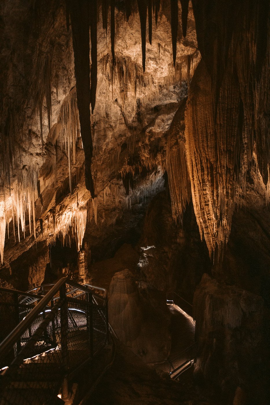 Visiting Hastings Caves and Thermal Springs: Tasmania's Best Cave Tour ...