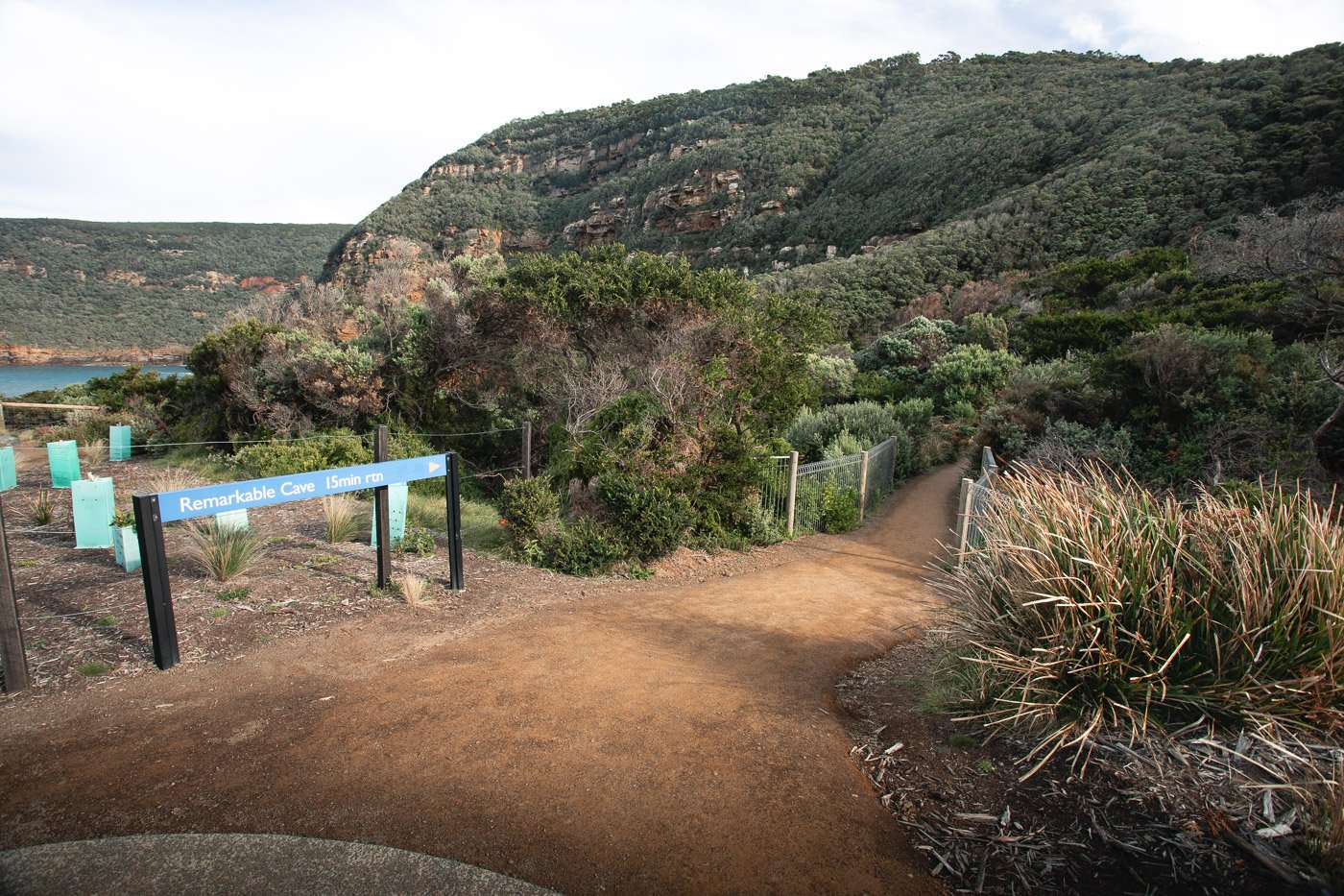 Guide to Visiting the Remarkable Cave in Tasmania