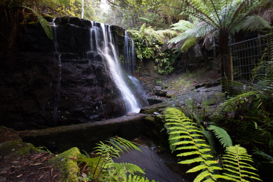 Hiking to Wellington Falls and the Disappearing Tarn, Hobart
